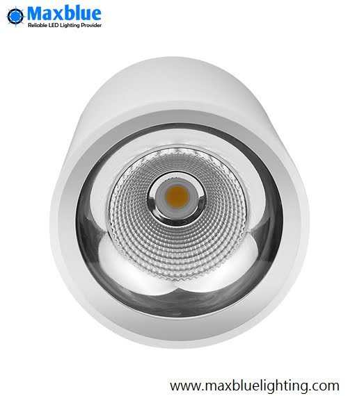 lamp led surface mounted - LED Strip Lighting, LED Downlight and ...