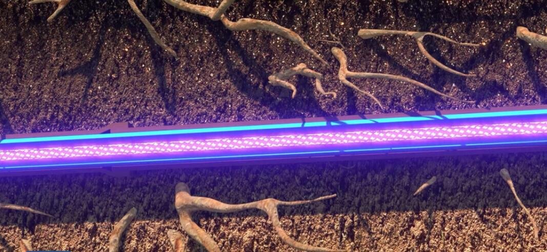 Gold Seal Plumbing LightRay UV Sewer Repair - LED Strip Lighting, LED ...