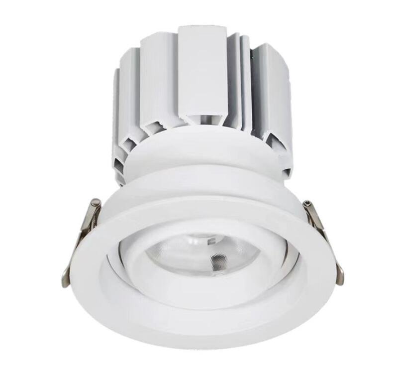 Bull's Eye COB LED Downlight